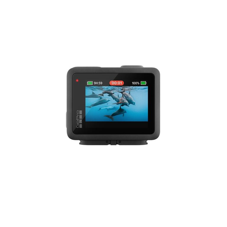 GoPro Hero 2024 CHDHF-131-AT Action Camera Listed on Amazon India ...